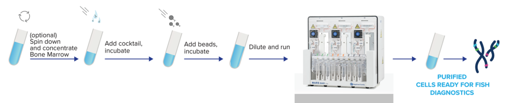 CD138+ Plasma Cell Enrichment for FISH - Applied Cells