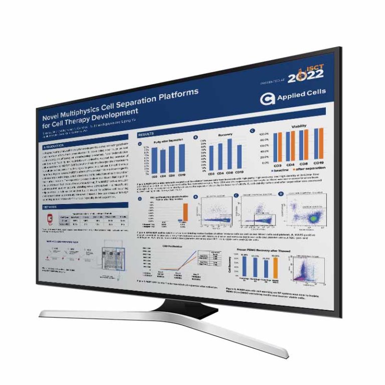 Simple magnetic cell separation for cell therapy development