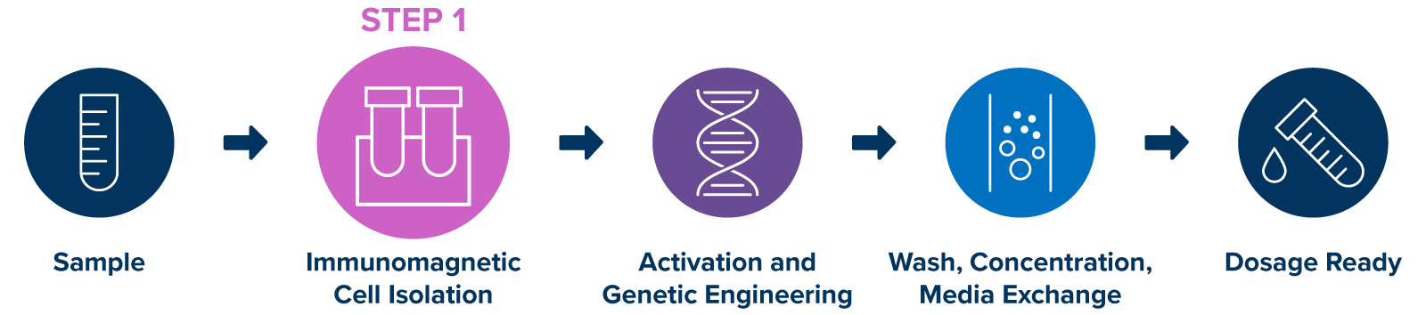 MARS Atlas - Applied Cells