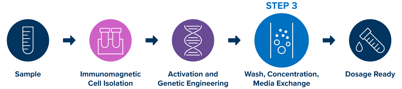 MARS Atlas - Applied Cells