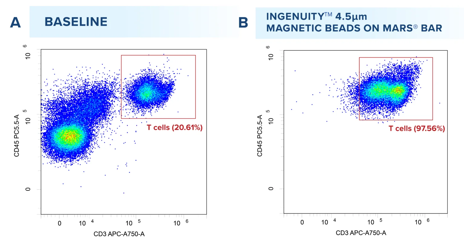 CD3/CD28+ T cell Isolation - Applied Cells